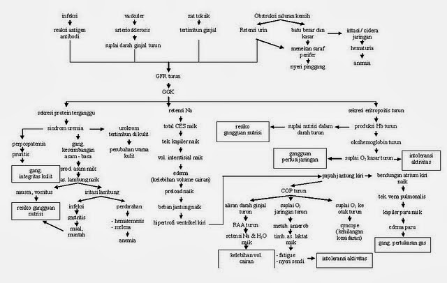 Nurse DyNy GreaT....: Pathway GGK dan GGA