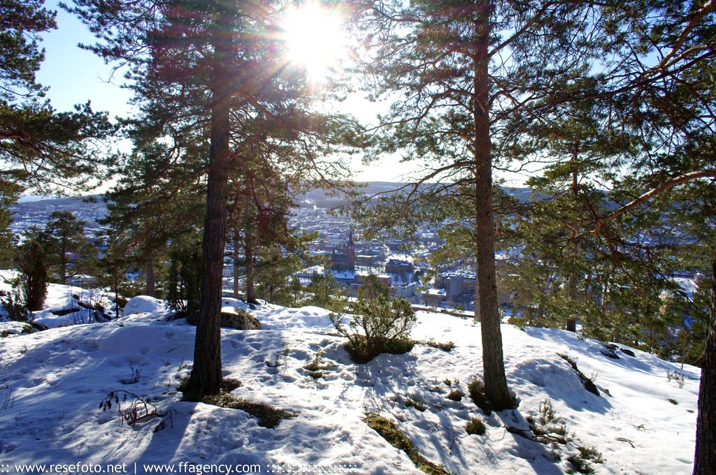 Sundsvallsbilder.com: Vinterfoto