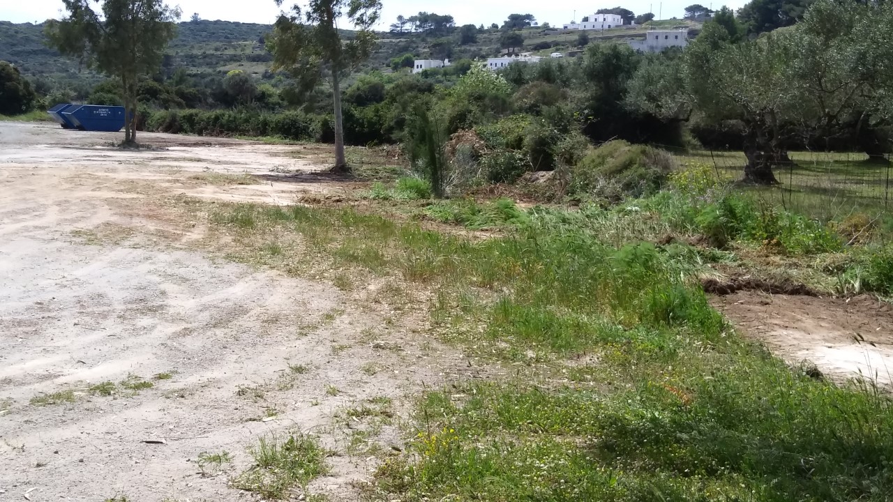 AdelinFM Kythira : ΚΥΘΗΡΑ ΛΙΒΑΔΙ:O ΧΩΡΟΣ ΤΟΥ ΠΑΛΙΟΥ ΓΗΠΕΔΟΥ ¨ΕΛΑΜΨΕ¨ΑΠΟ ...