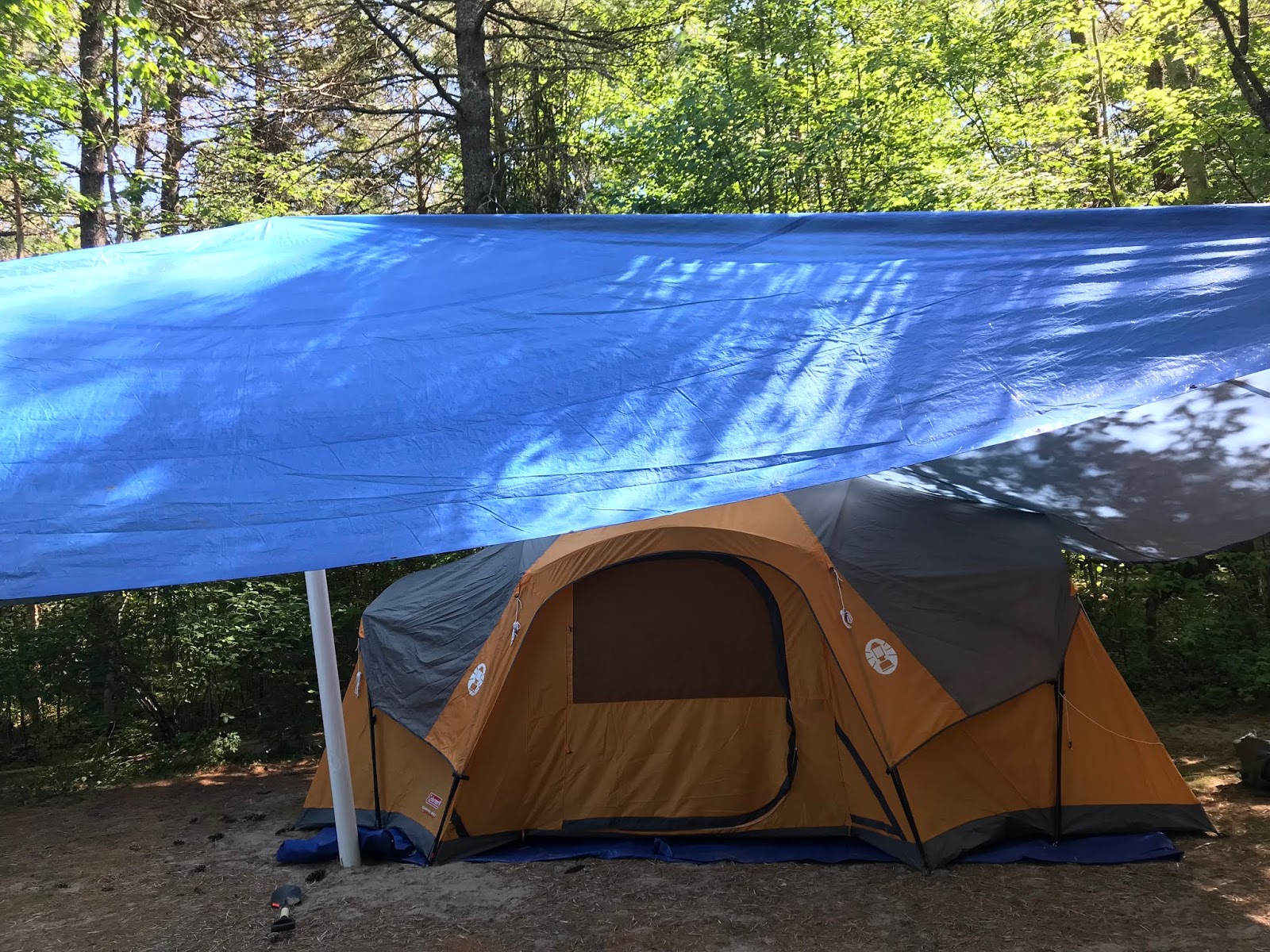 Savich Trek: BUCK POND CAMPGROUND, NY: SECLUDED AND COMFORTABLE!