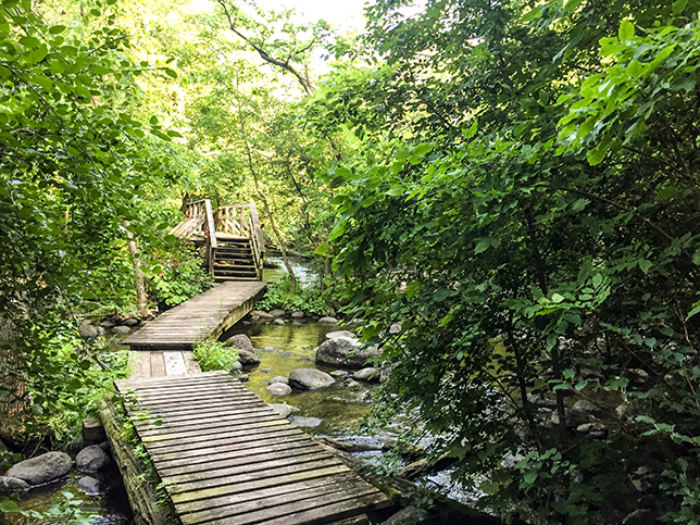 Hiking the Ice Age Trail Monches Segment