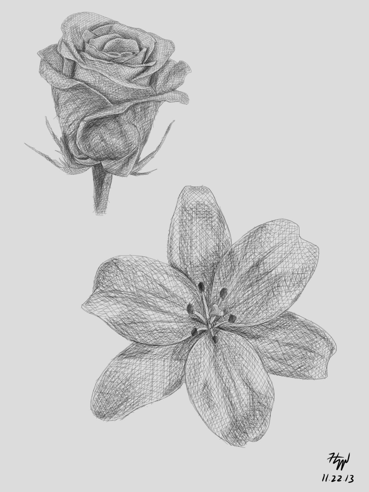 Hui Wang 3D Artist: Cross hatching studies