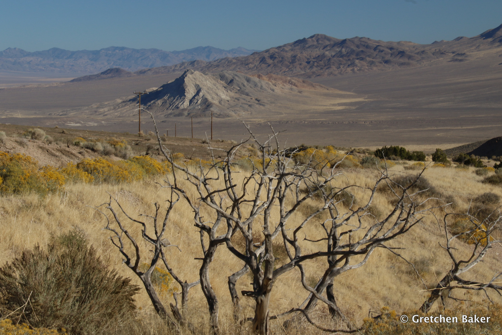 Desert Survivor: Fairview Peak Earthquake Faults, Nevada