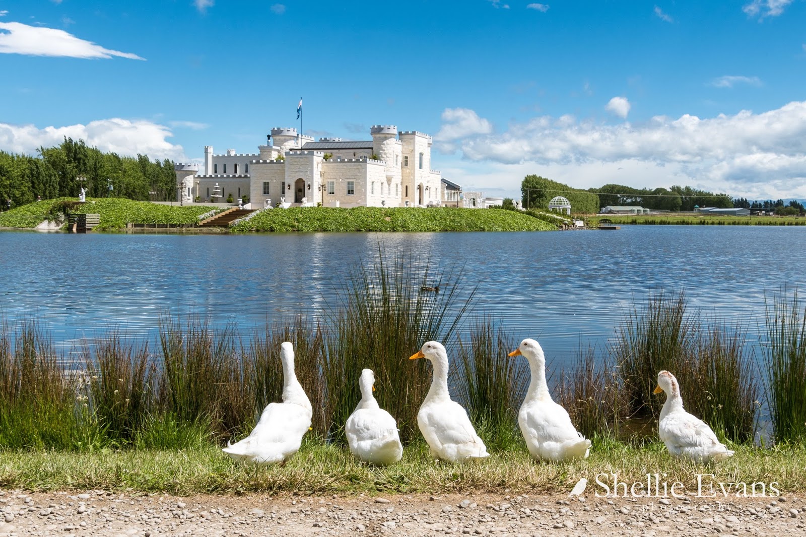 Two Go Tiki Touring: Queen of the Castle- Riverstone Castle