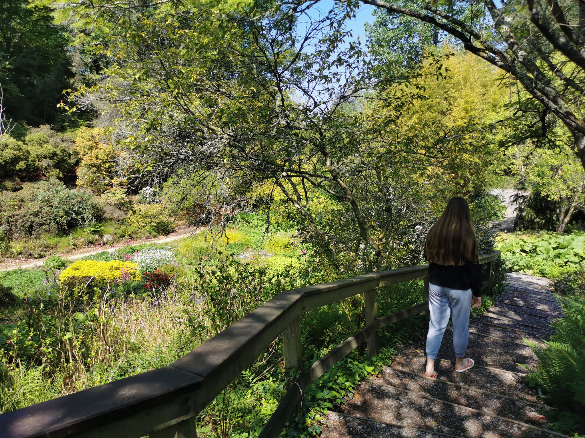 Mummy From The Heart: 20 Fabulous Things To Do in the Test Valley with ...