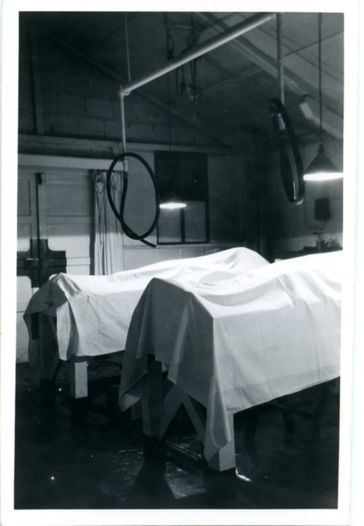 The Graveyard Detective: Waiting for the Embalming Process to Begin