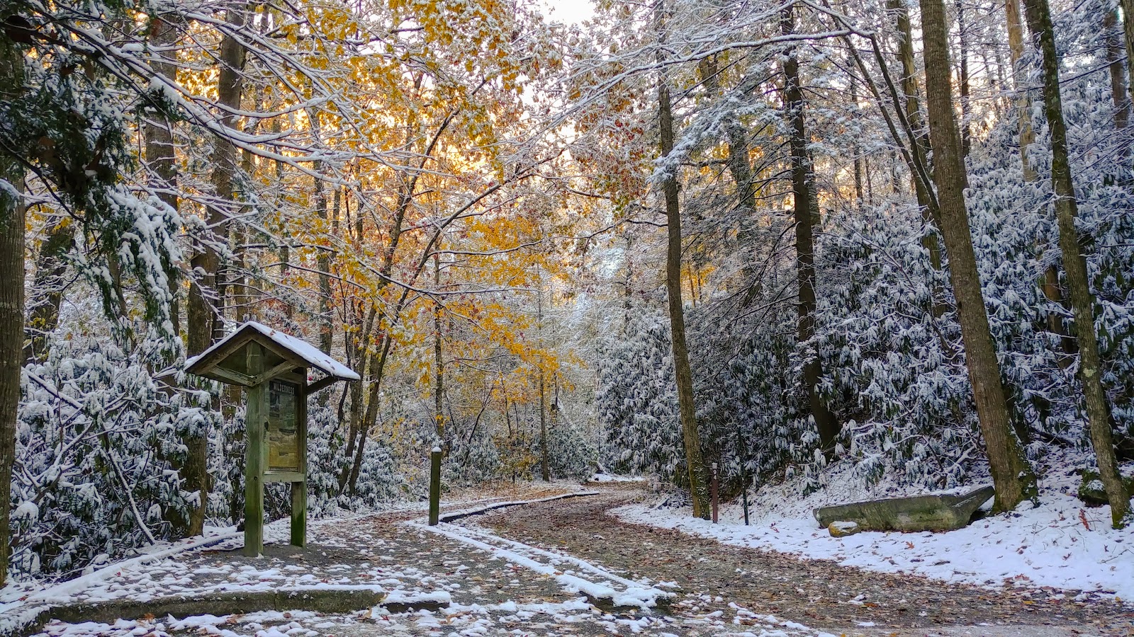 Tales From The Wood Booger: Snow Adventures In The Cherokee National Forest