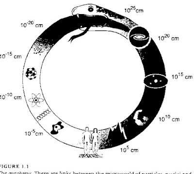 The Monkey Buddha: Ouroboros of Scale