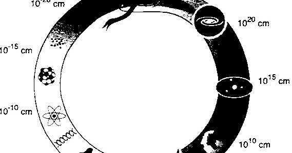 The Monkey Buddha: Ouroboros of Scale