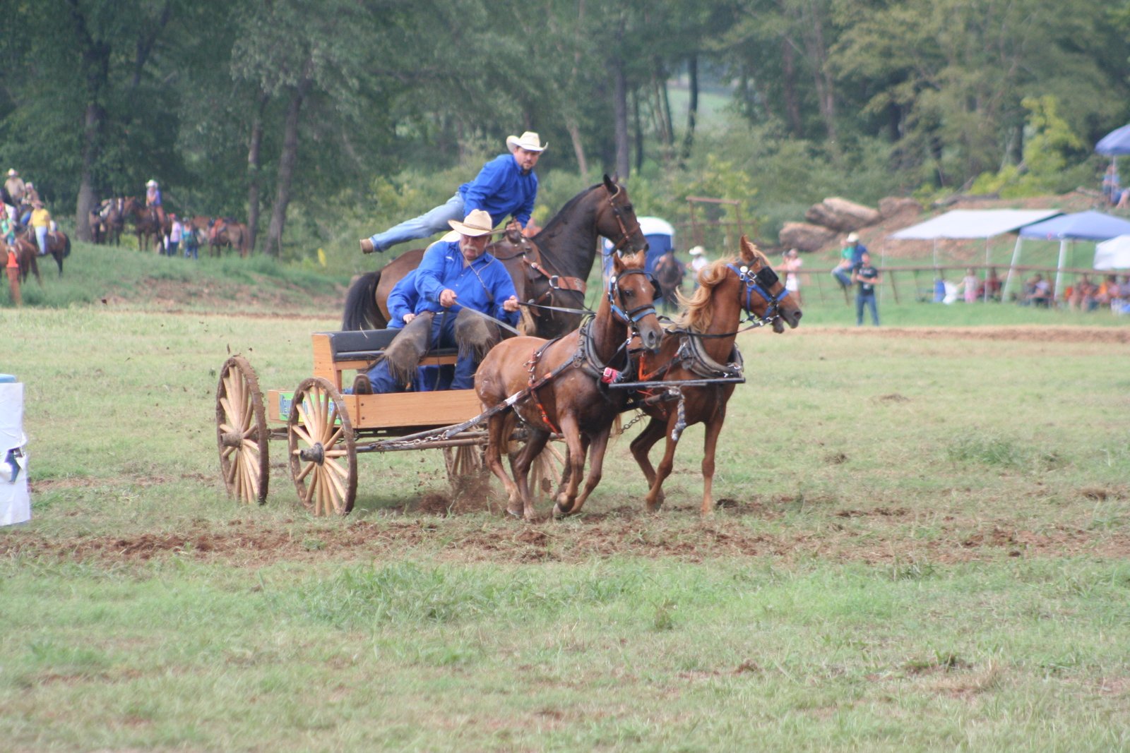 PairADice Mules: National Chuckwagon Races Saturday