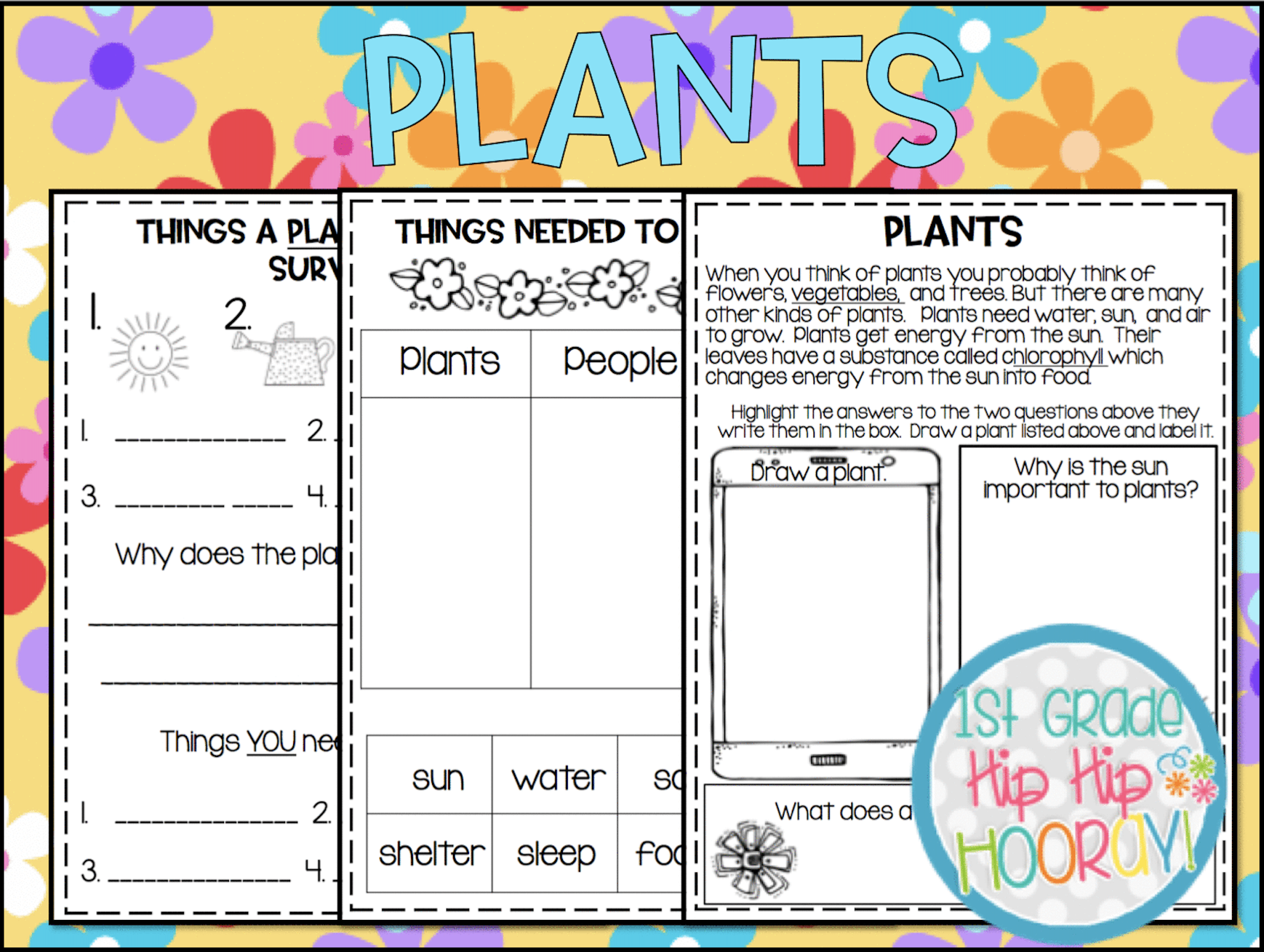 1st Grade Hip Hip Hooray!: Plants..."Growing" our knowledge of plants!