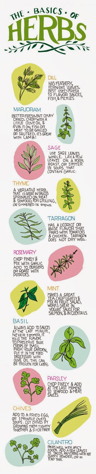 Garden and Farms: The Basics of Herbs