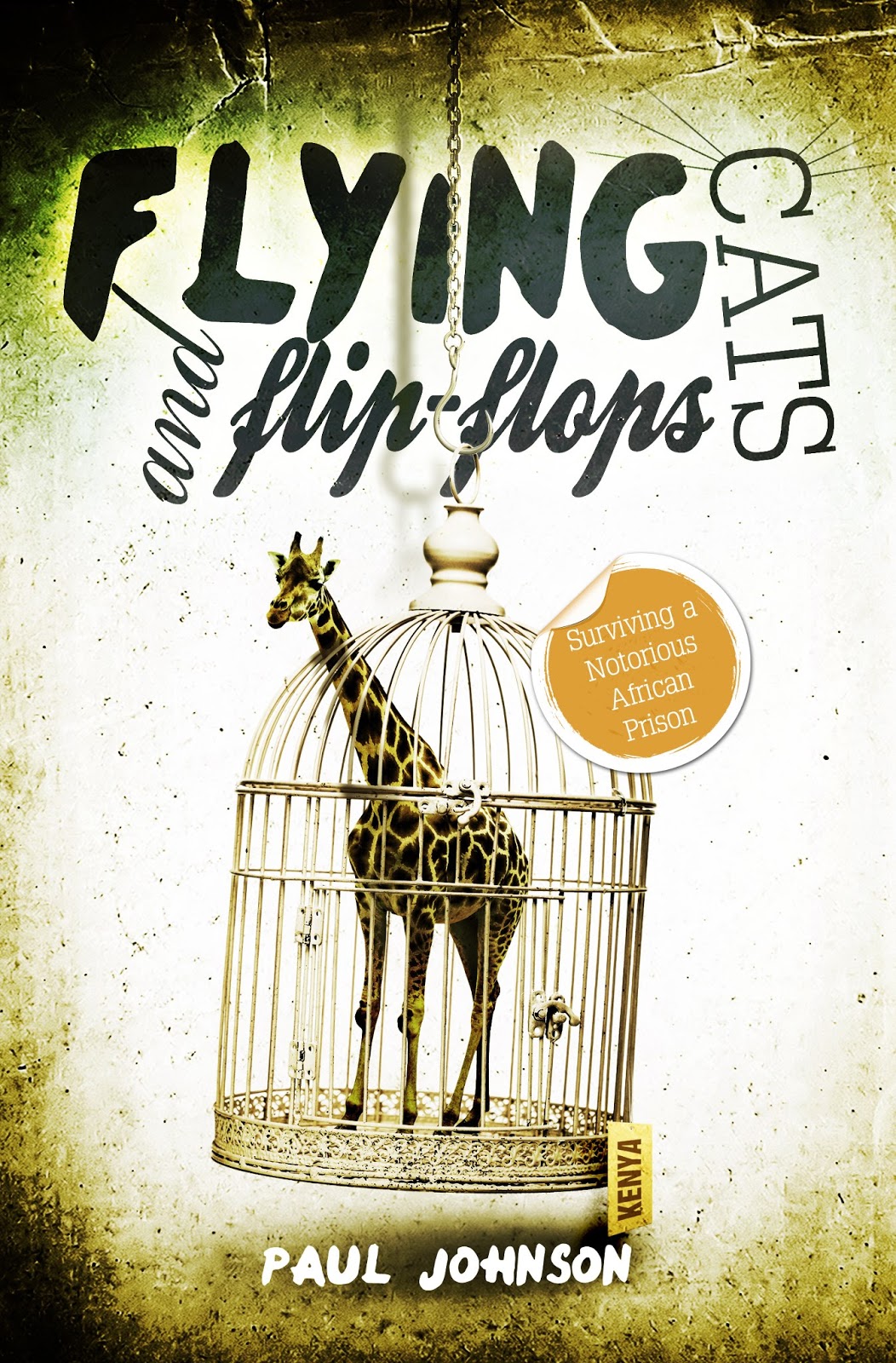 Book Launch Guest Post - Flying Cats and Flip Flops by Paul Johnson