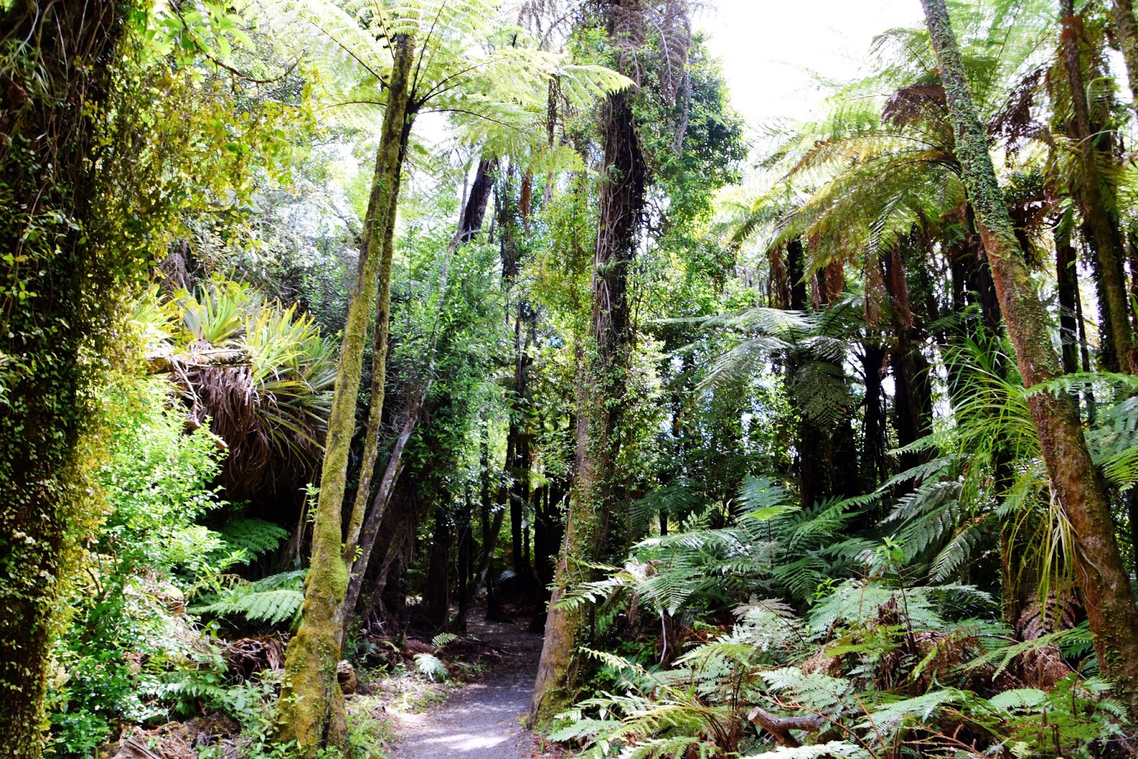 Love and Happiness: Mount Pirongia, New Zealand