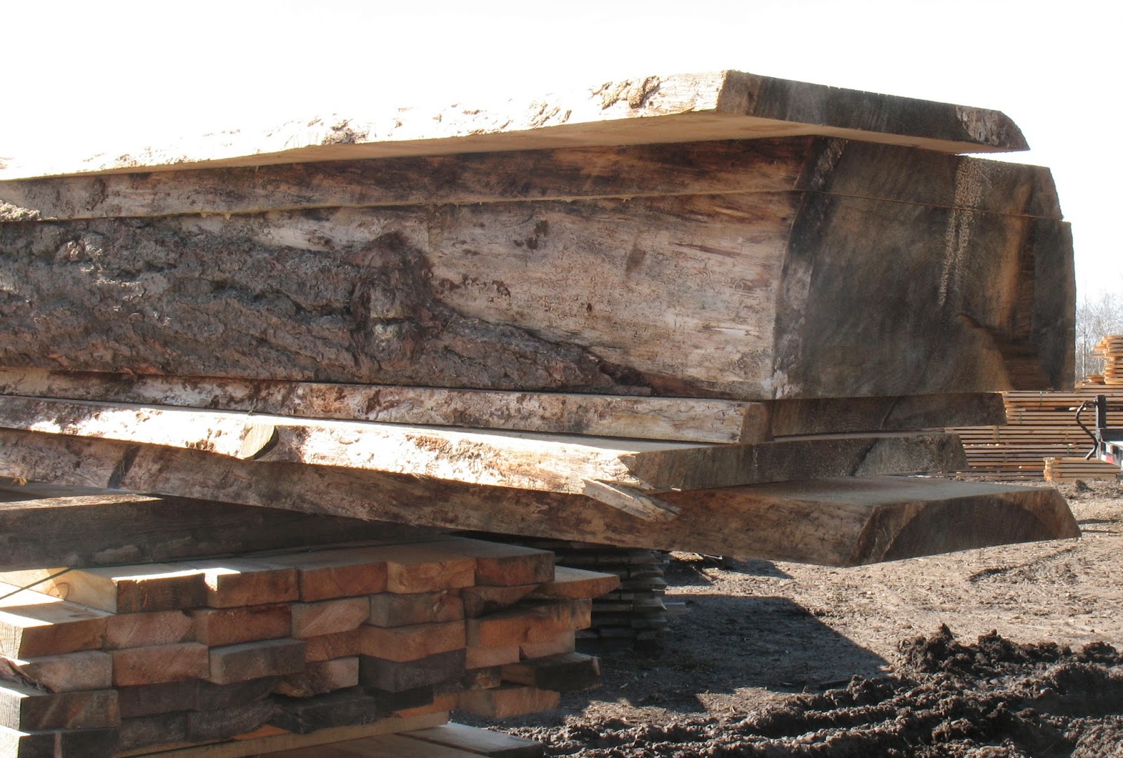 Wille Logging Lumber & Timber: 30" White Pine Slabs