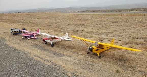 Watching Critters Play