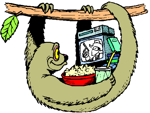 Are You Training Up a Sloth?