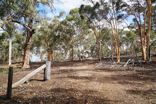 Clackline Walk GPS Route (Clackline Nature Reserve) ~ The Long Way's Better