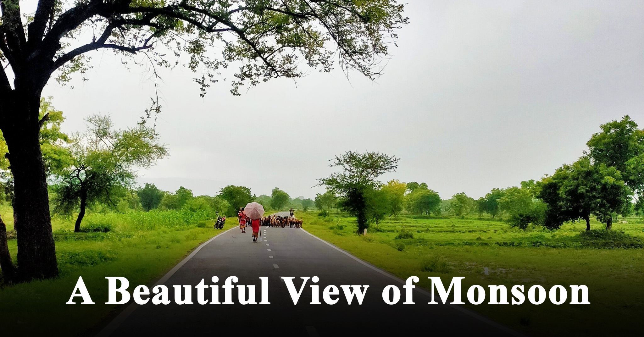 A Beautiful View of Monsoon in 2020