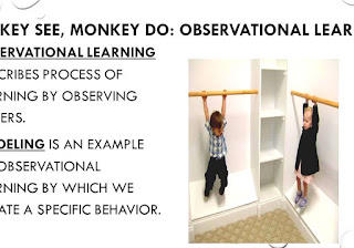 Observational Learning - Examples Of Observational Learning
