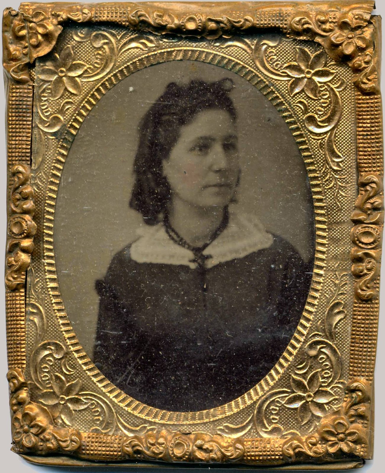 It's A "Melting Pot" - Family Tree