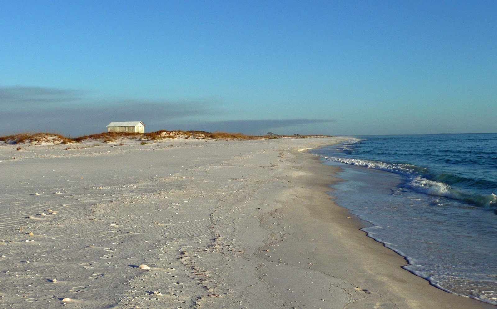Last Dance: Florida Panhandle - Shell Island