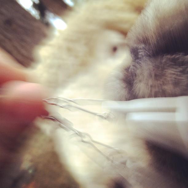 BCxFour: January 2012