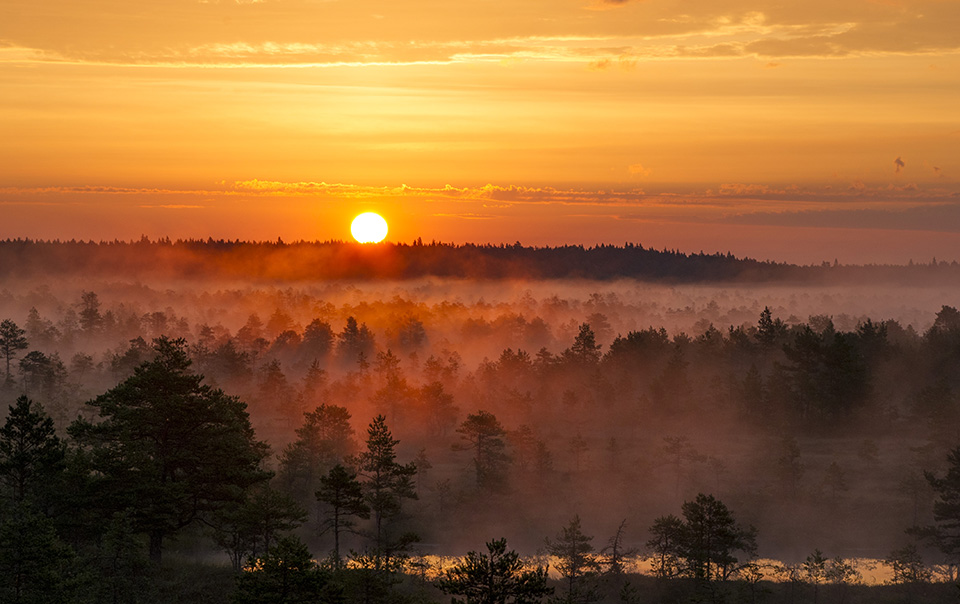 Eero pildid: Ilus hommik