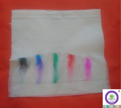 Surrey Library Lab: Paper Chromatography
