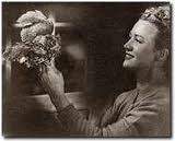 Literature and Literacy for Children: T E X T S E T - THE WORKS OF JEAN ...