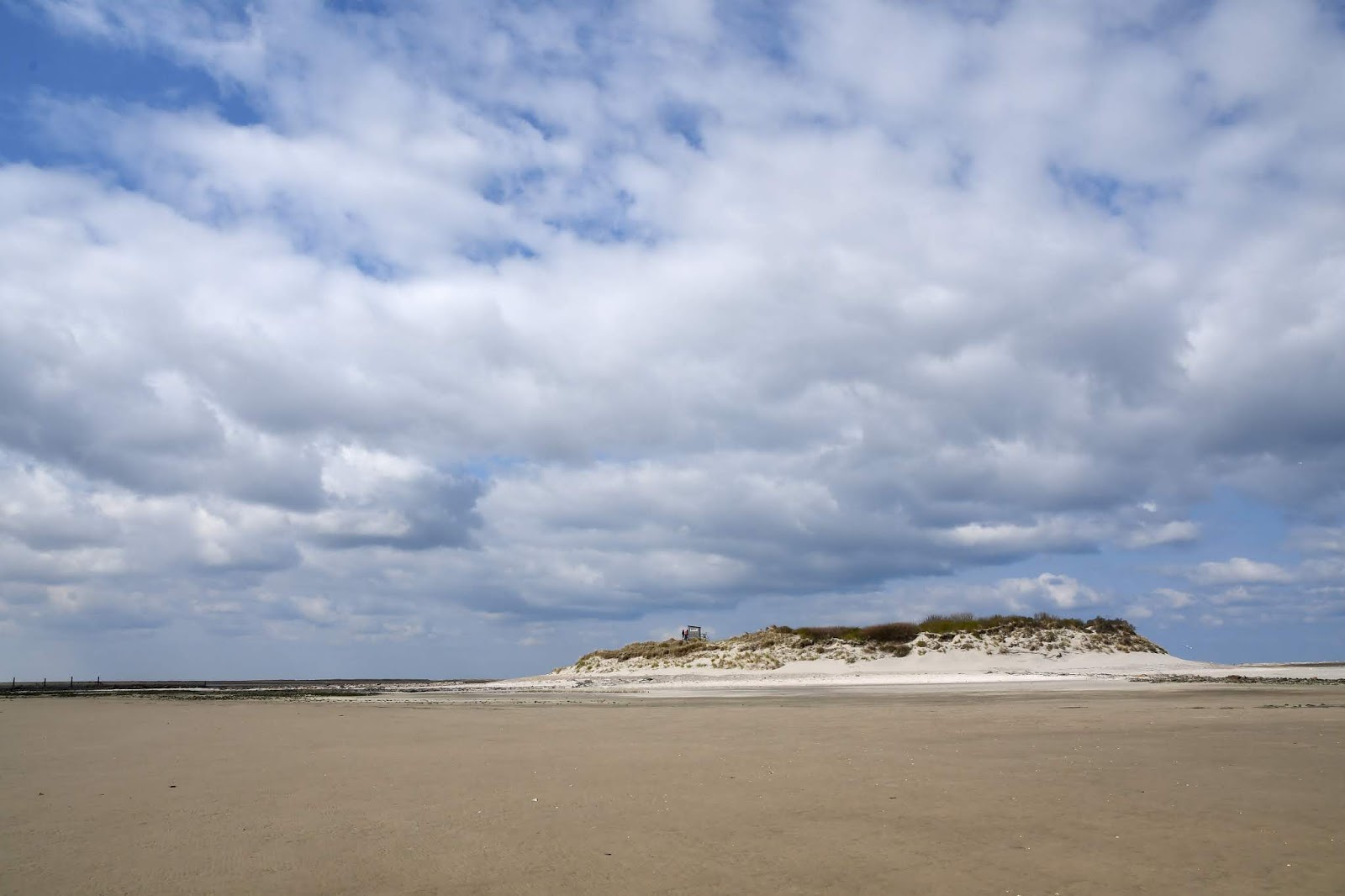 Natuurspoor: Lezingen