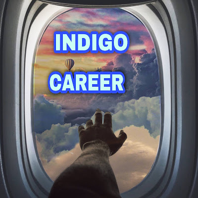 Indigo career : Officer - Customer Service/ Ramp/ Security career spot