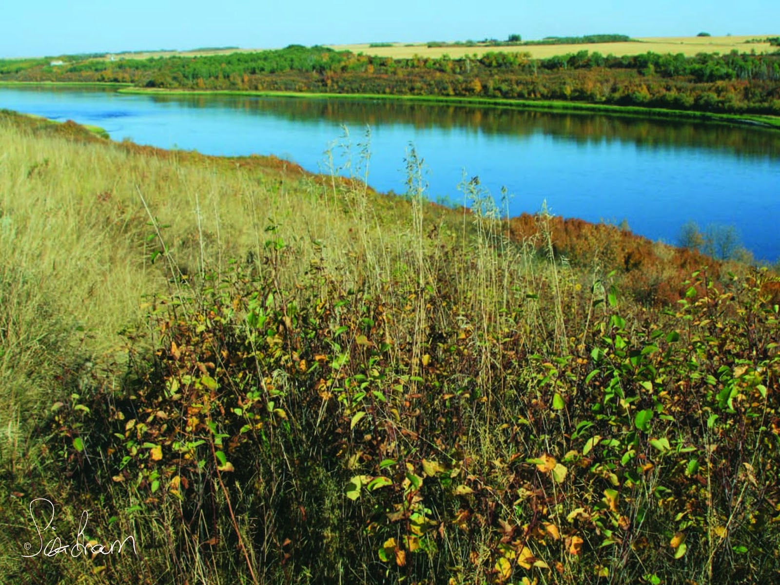 Photography by Lisa: 2014 Saskatchewan Prairie Scenes Calendar