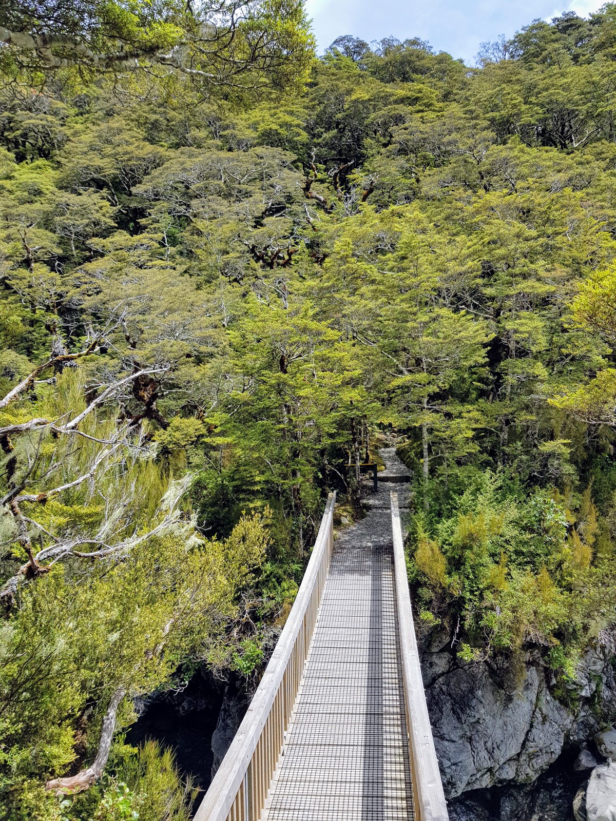 Tramping in the New Zealand backcountry: NZ Bush Adventures: Arthur's ...