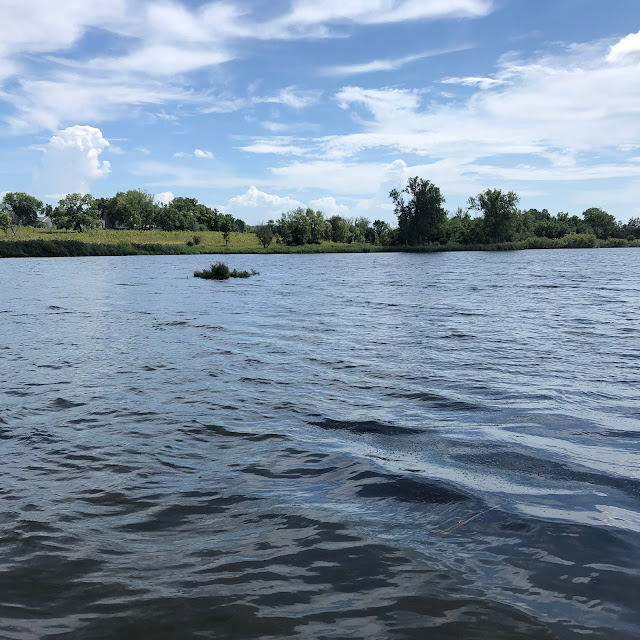 A Little Time and a Keyboard: Surrounded By Fluttering Butterflies at ...