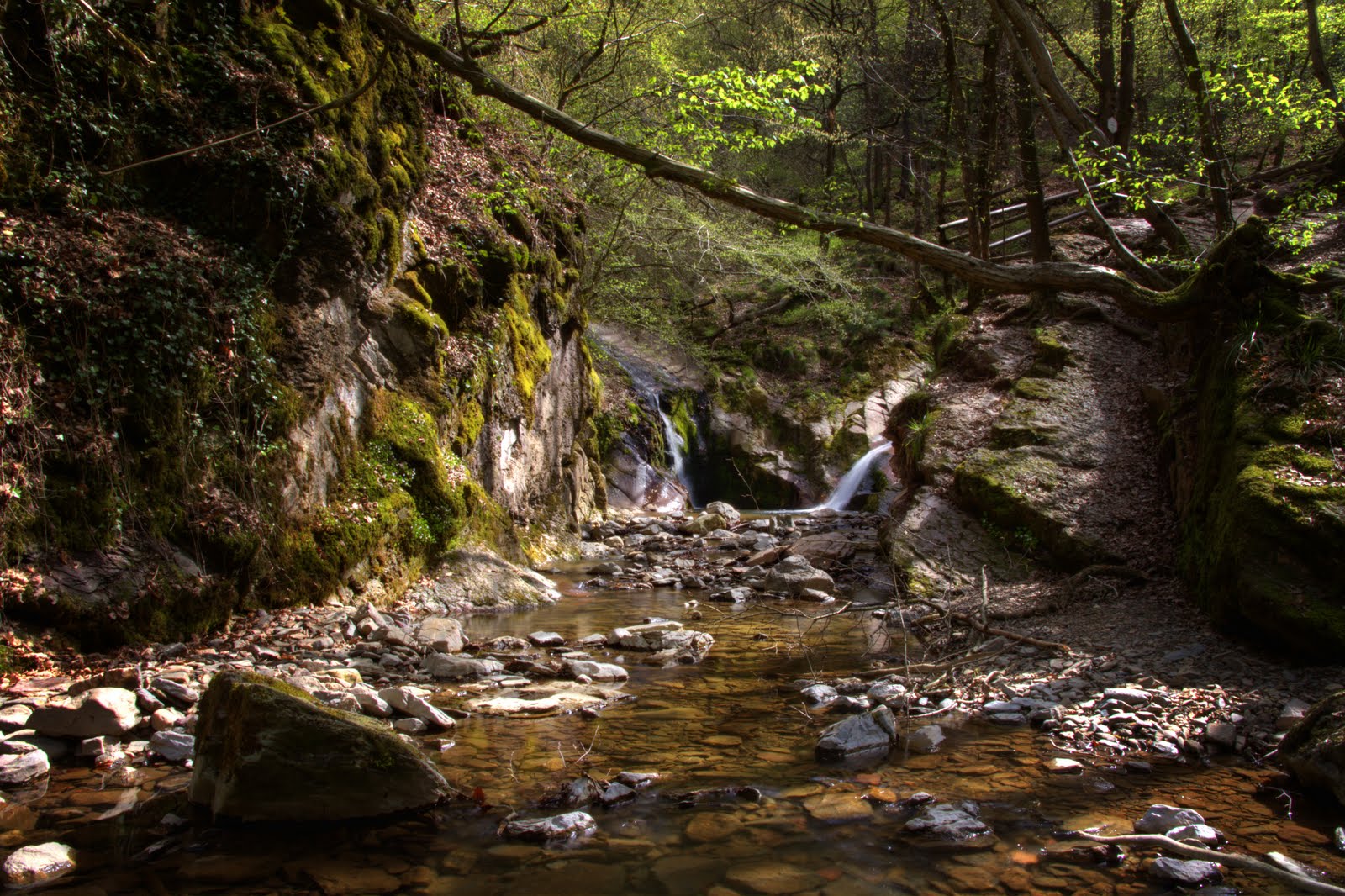 Christophe Luts Photography: NINGLINSPO - Remouchamps