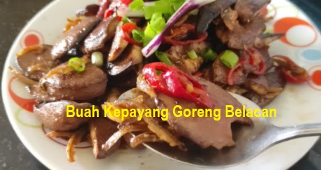 Anim Agro Technology: BUAH KEPAYANG - KENALI DIA