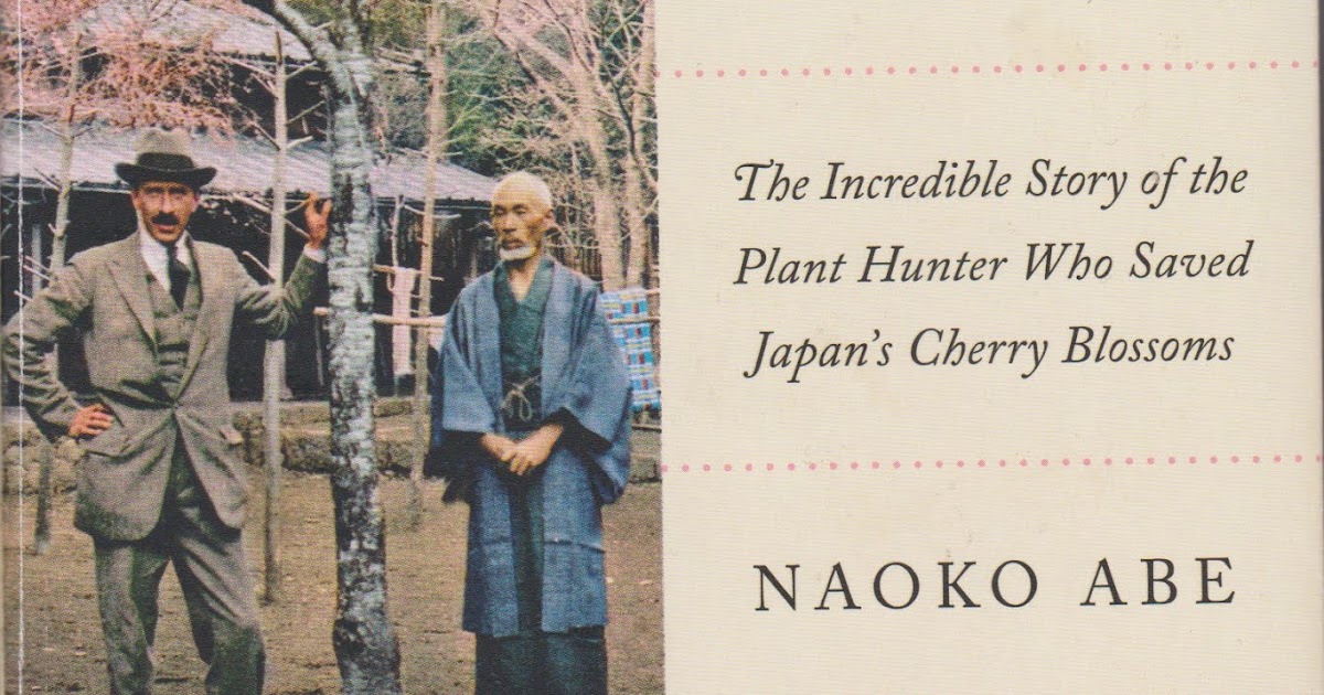 Hortus Godotii - Tallow: The Sakura Obsession