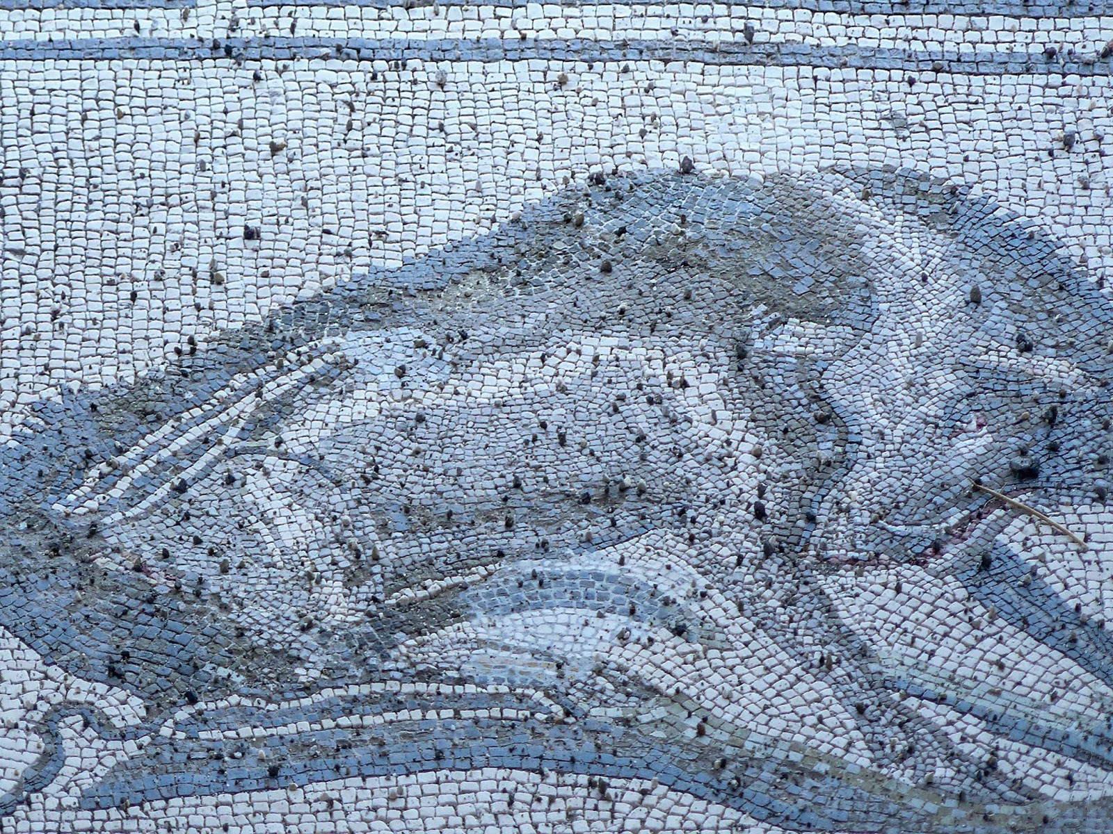 Roman Times: A short history of Roman tessellated mosaics