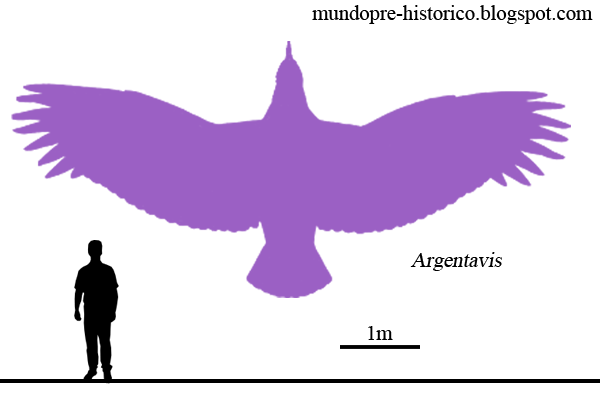 Mundo Pré-Histórico: Argentavis, a maior ave de todos os tempos