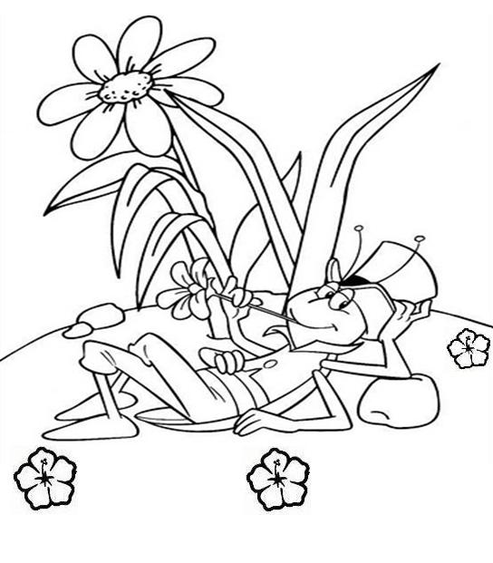 Coisinhas para Crianças: DESENHOS DE GRILO PARA COLORIR