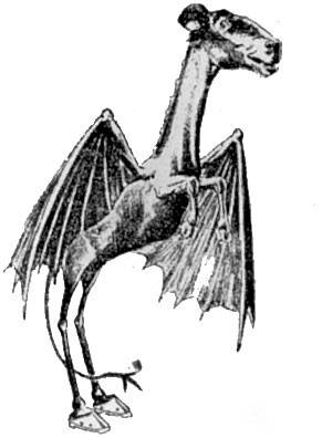 THE STORY OF THE JERSEY DEVIL ~ The Crypto Crew