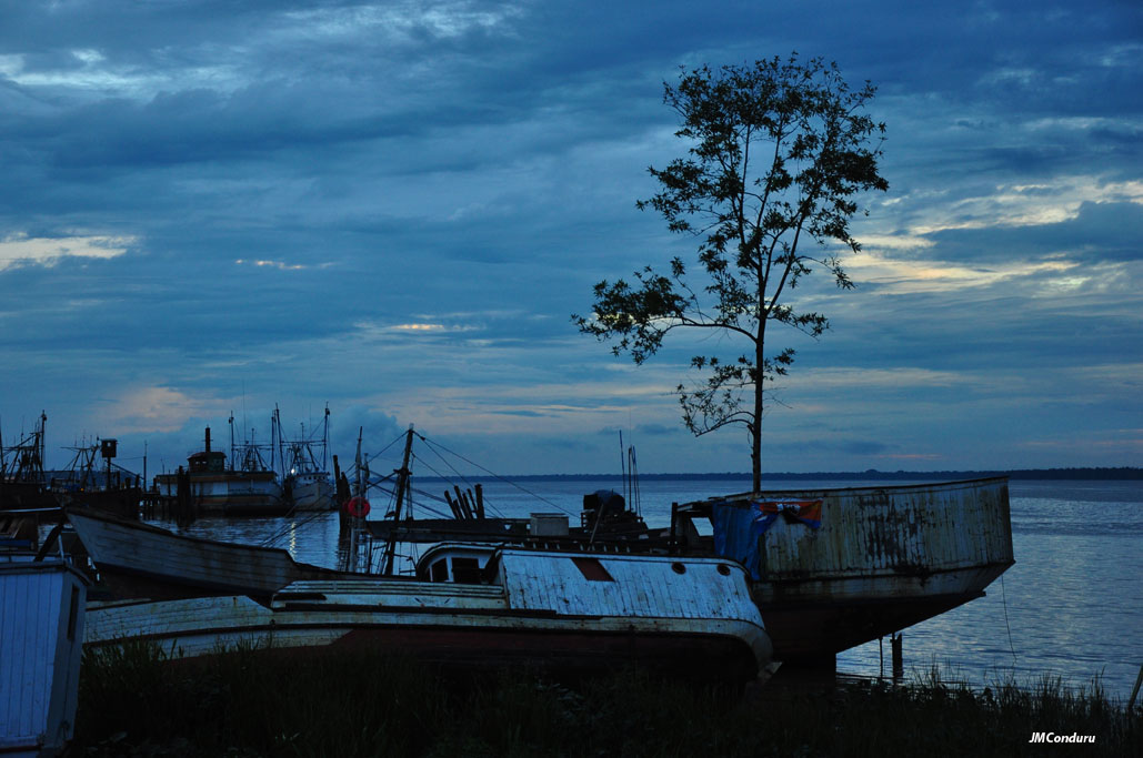 ©JMConduru2011: Icoaraci, Belém, Pará, Amazônia, Brasil.