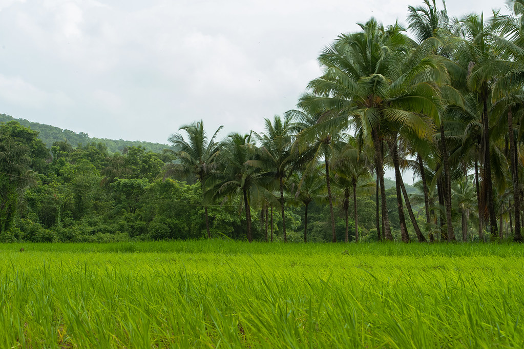 Kudal | Konkankatta.in