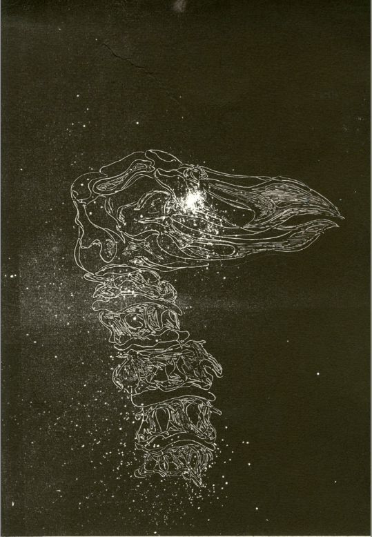 Helly Scribbles: Skeleton of a Great Auk - Monoprint