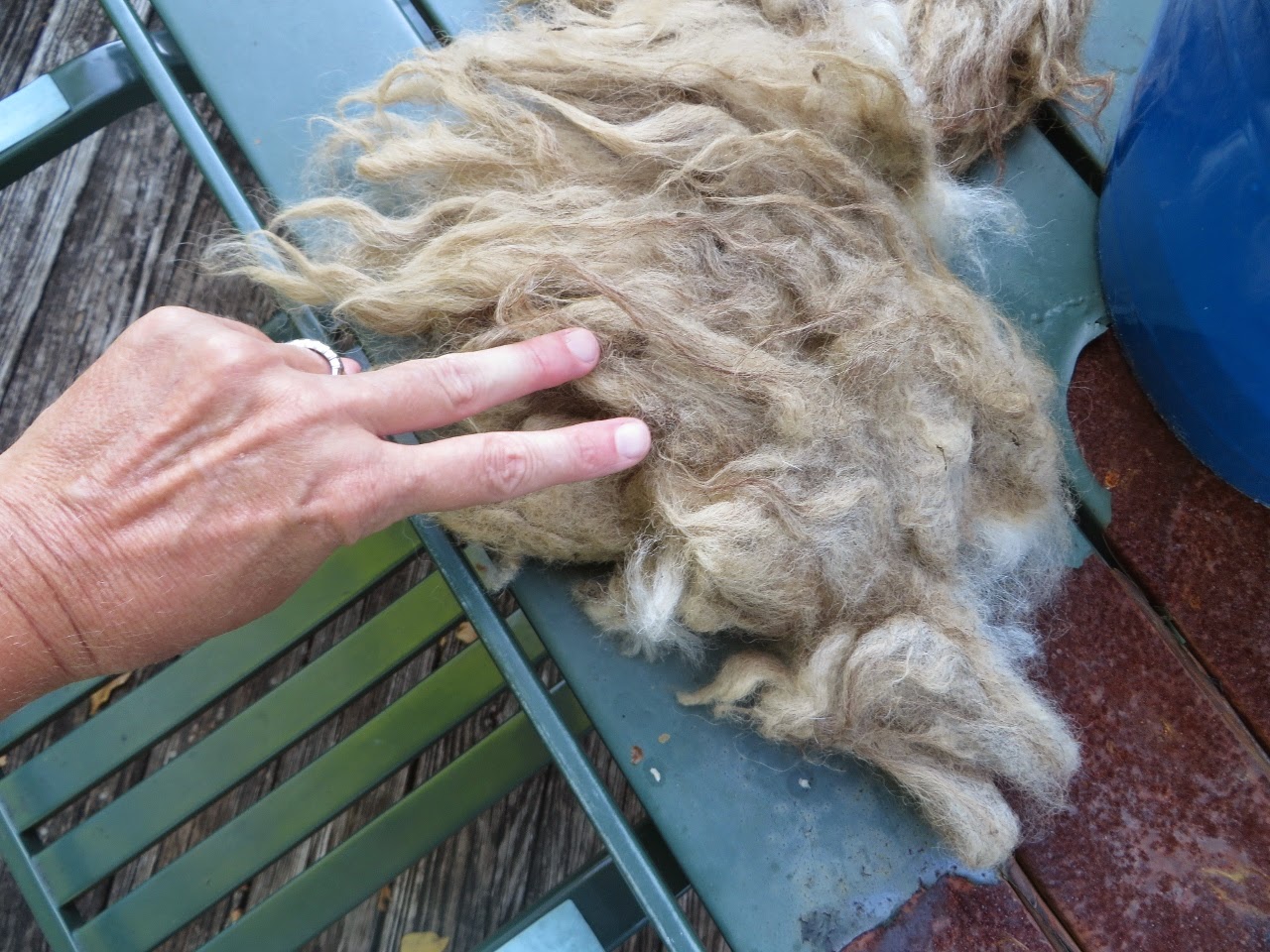 A Frolic through Time: September 2014