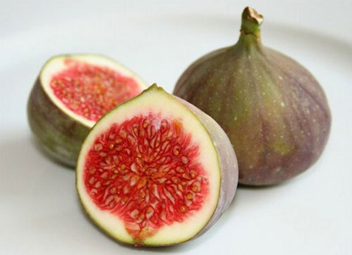 Tawon Ara, Belahan Jiwa bagi Pohon Ara | RE Tawon