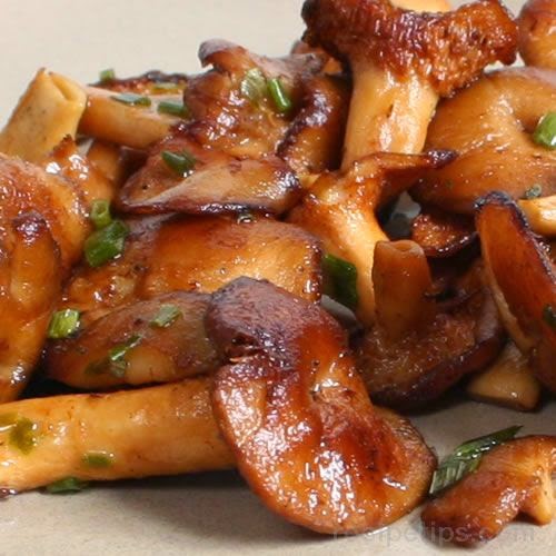 Hedgehog Mushroom Recipe