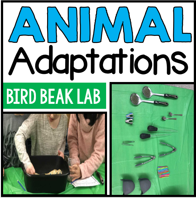 Creative Classroom Core: All About... Animal Adaptations: Bird Beak Lab