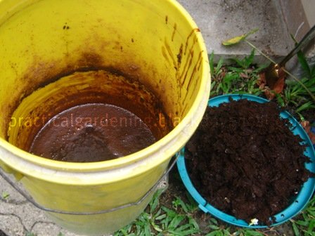 Practical Gardening: Collect Extract Homemade Fish Emulsion